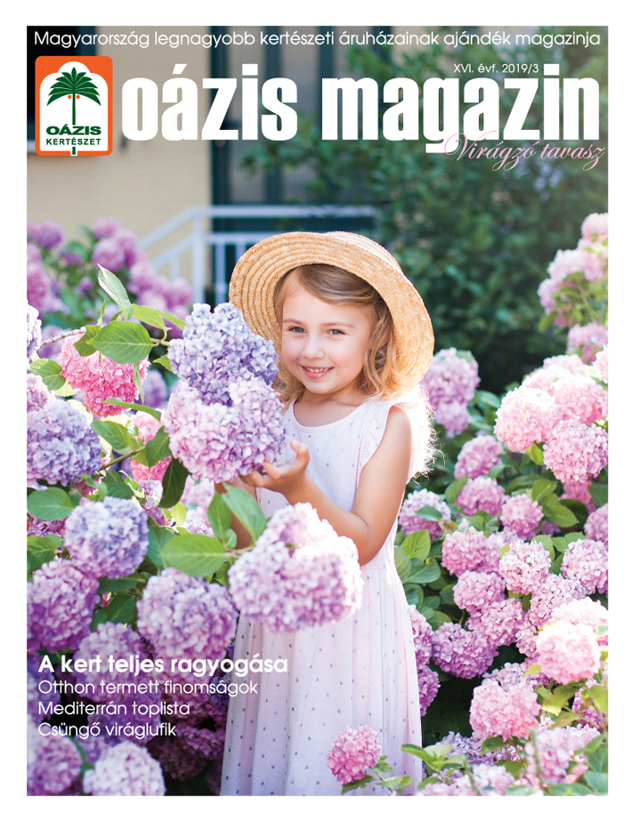 Oázis Magazin
